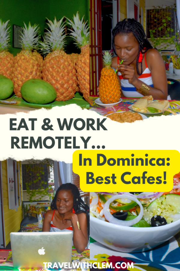 Tropical Island Cafe: Work and Brunch Experience at the Tropical Blendz ...