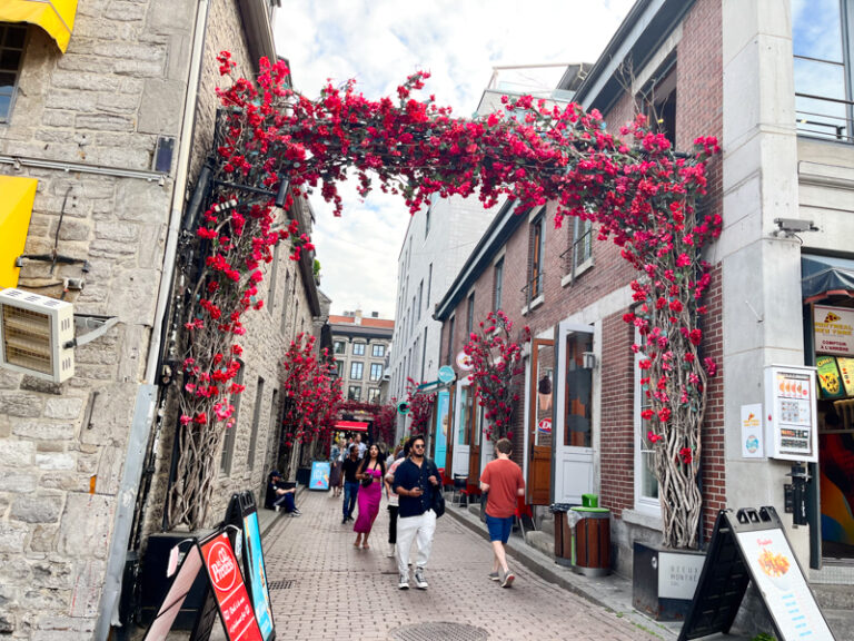 The Best Montreal Travel Guide for an Amazing First Visit - Travel with ...